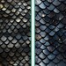 Black Dragons Scales Digital Paper, Rugged Black Dragon Scales and Hide ...