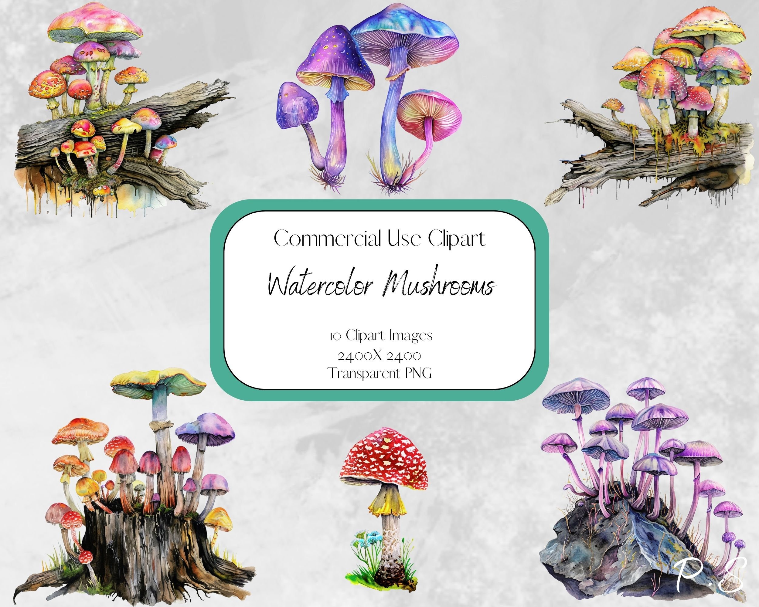 Watercolor Mushrooms Clipart watercolor Mushrooms in PNG Format Instant ...