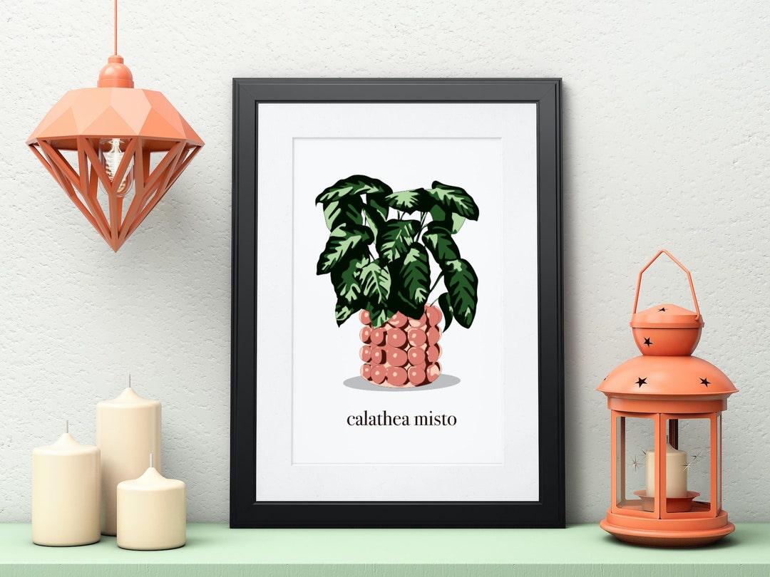 Printable House Plant Wall Art Print | Digital Download | Botanical ...
