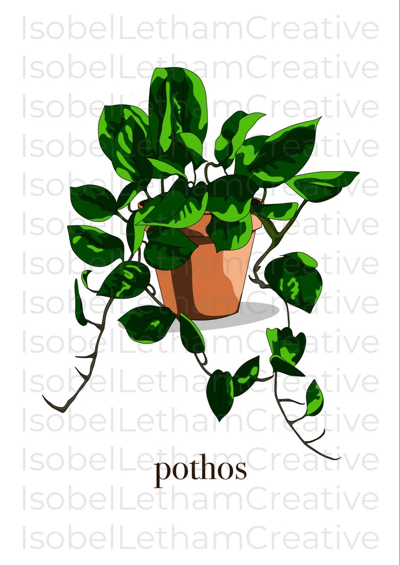 Printable House Plant Wall Art Print | Digital Download | Botanical ...