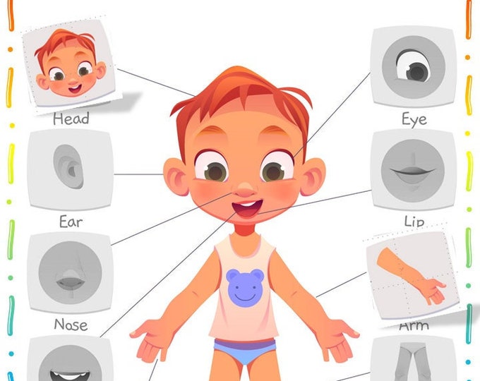 Body Parts Matching Activity for Toddlers, Human Body, Toddler Busy ...