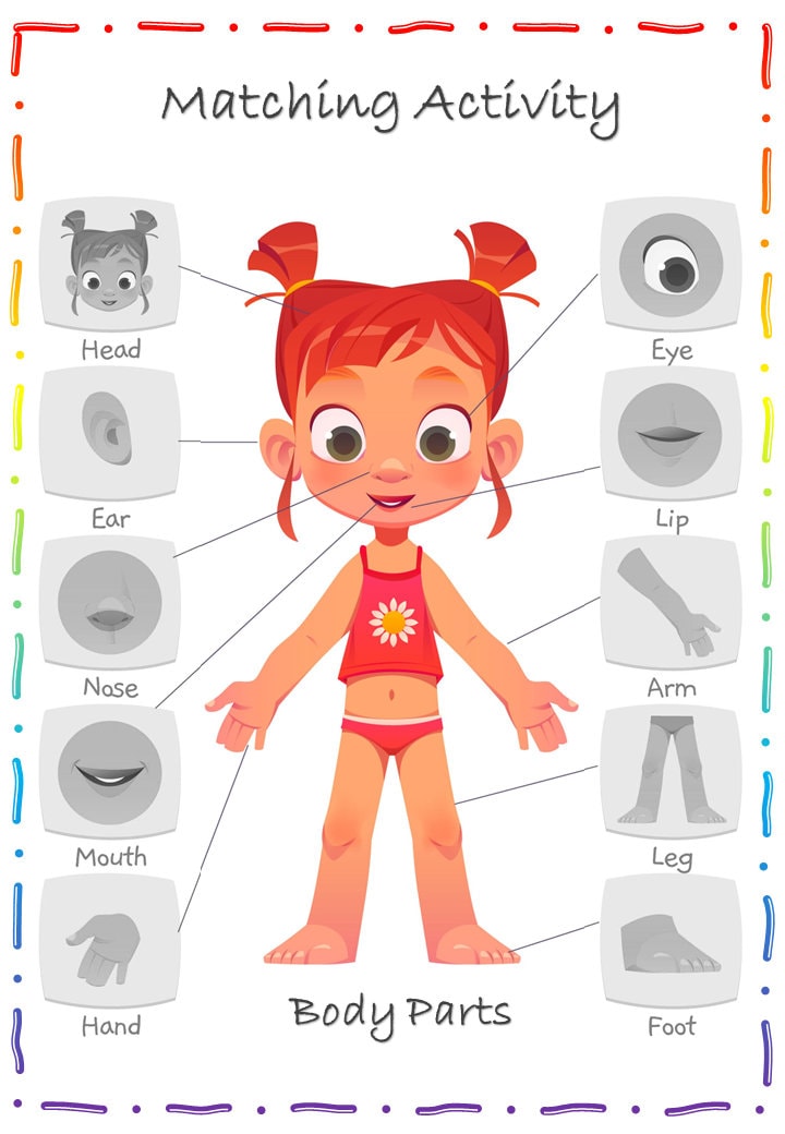 Body Parts Matching Activity, Toddler Learning Binder (printable ...