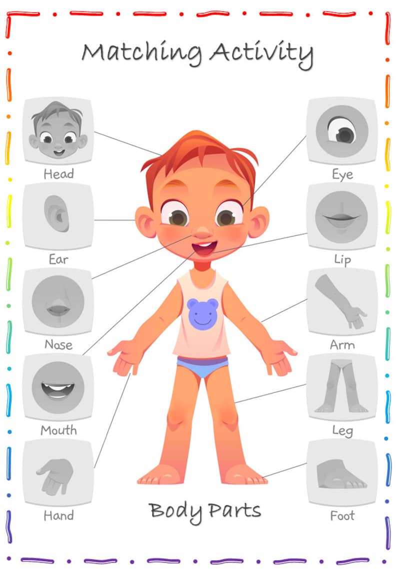 Body Parts Matching Activity, Toddler Learning Binder (printable ...