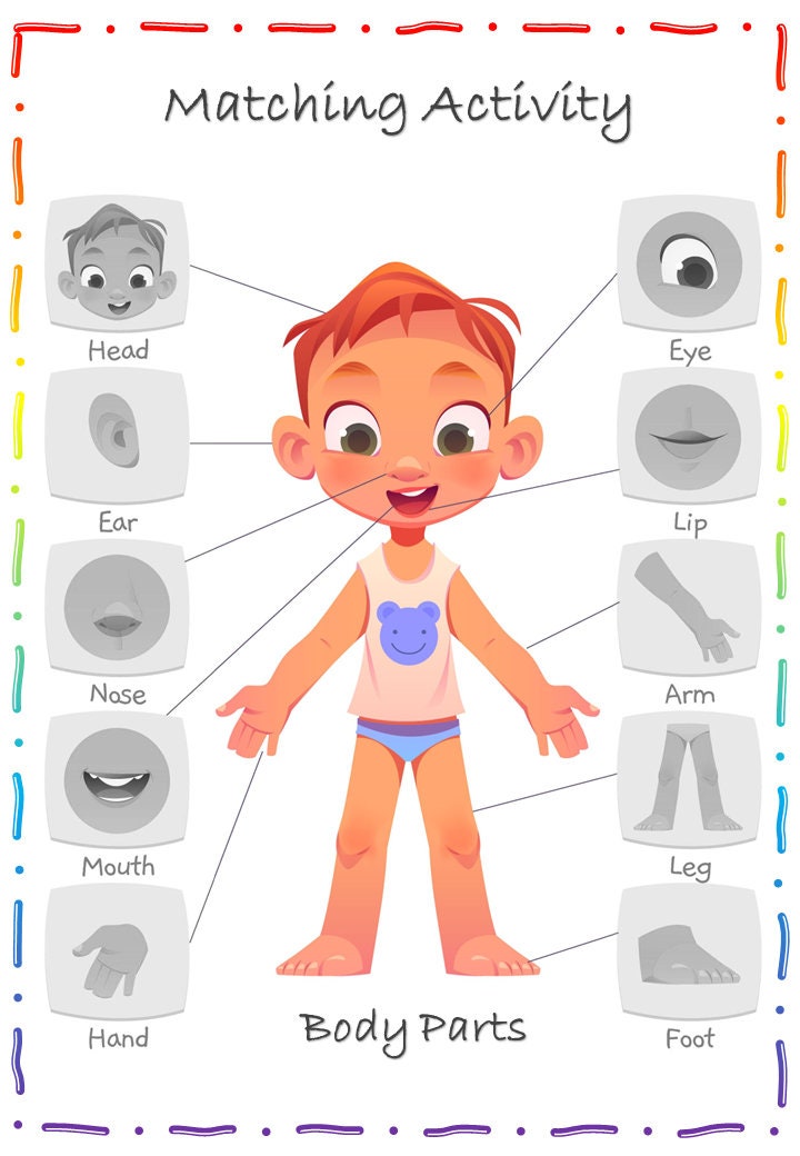 Body Parts Matching Activity for Toddlers, Human Body, Toddler Busy ... Body Parts Matching Activity for Toddlers, Human Body, Toddler Busy ...
