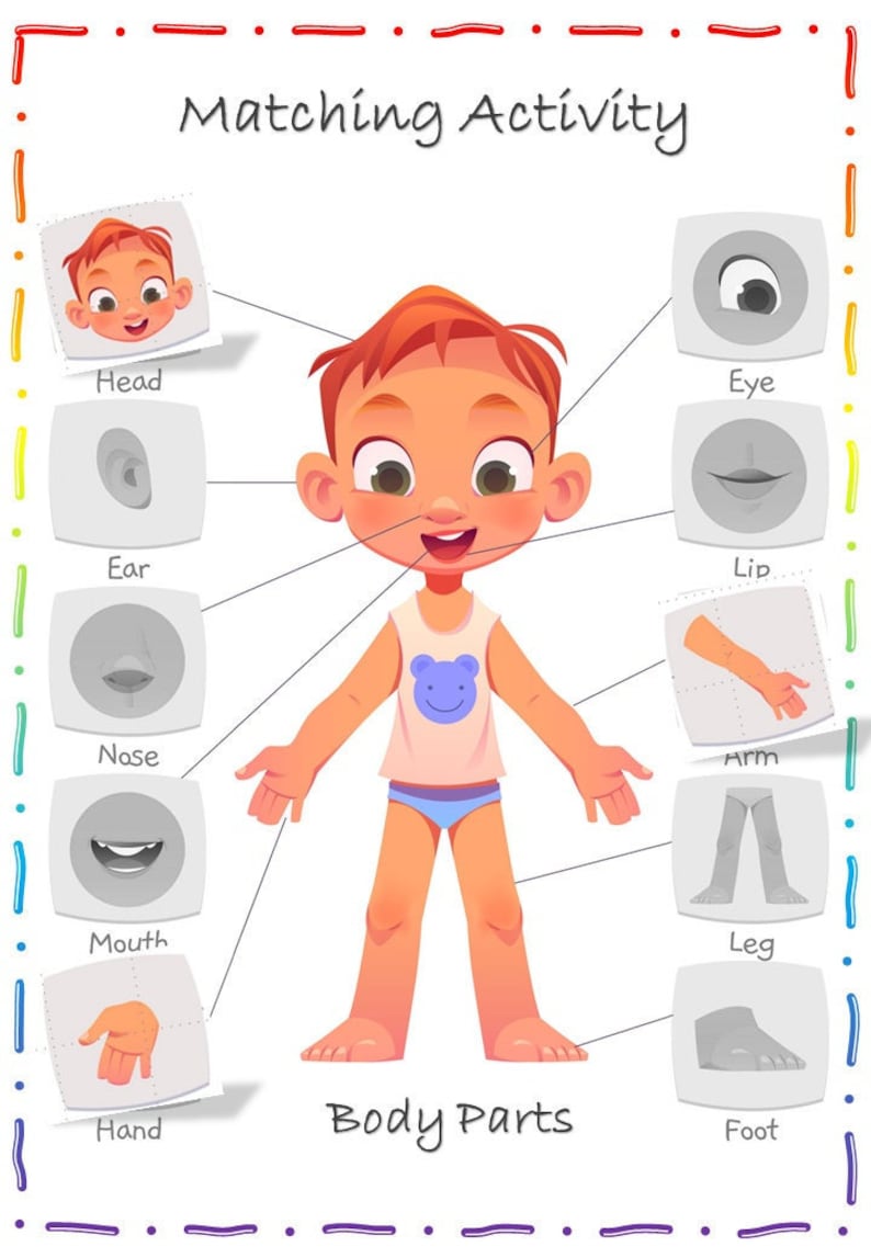 Body Parts Matching Activity for Toddlers, Human Body, Toddler Busy ... Body Parts Matching Activity for Toddlers, Human Body, Toddler Busy ...