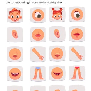 Body Parts Matching Activity, Toddler Learning Binder (printable ...