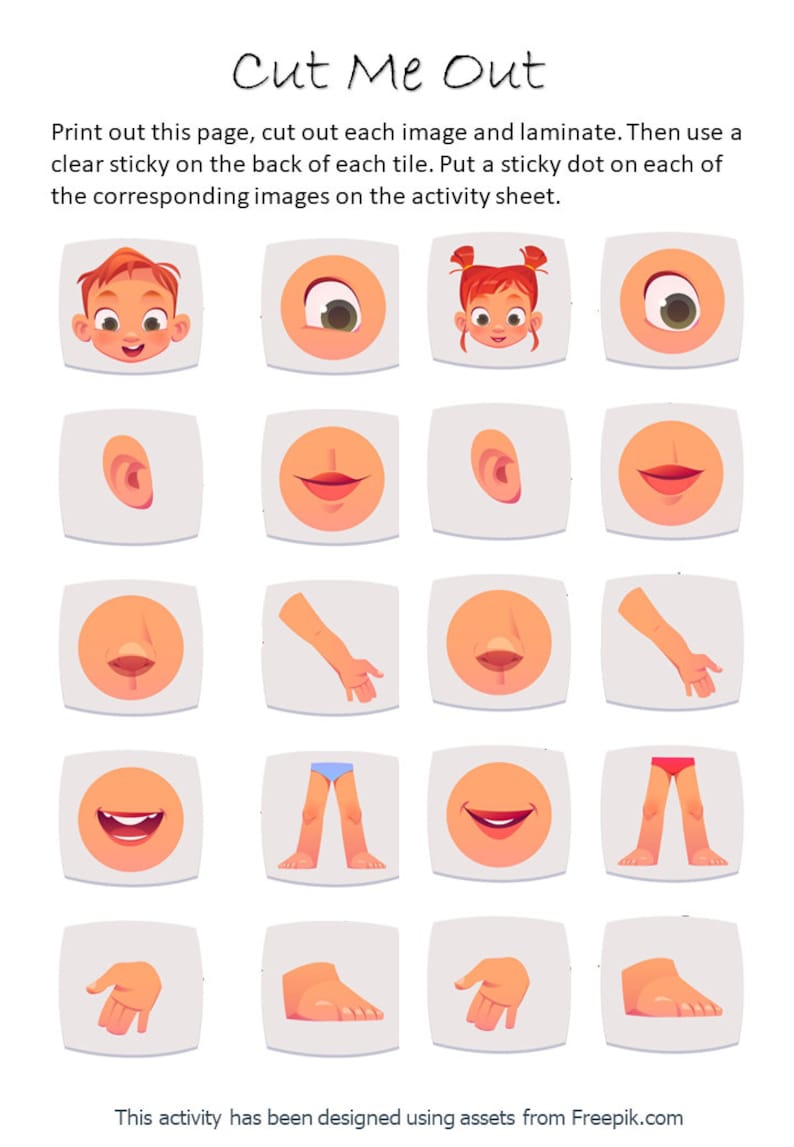 Body Parts Matching Activity for Toddlers, Human Body, Toddler Busy ...