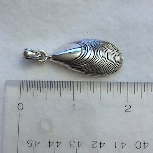 Sterling Silver Mussel Shell Pendant - Etsy