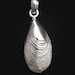 Sterling Silver Mussel Shell Pendant - Etsy