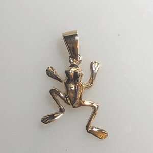 14K Yellow Gold Frog / Toad - Amphibian - Wildlife - Etsy