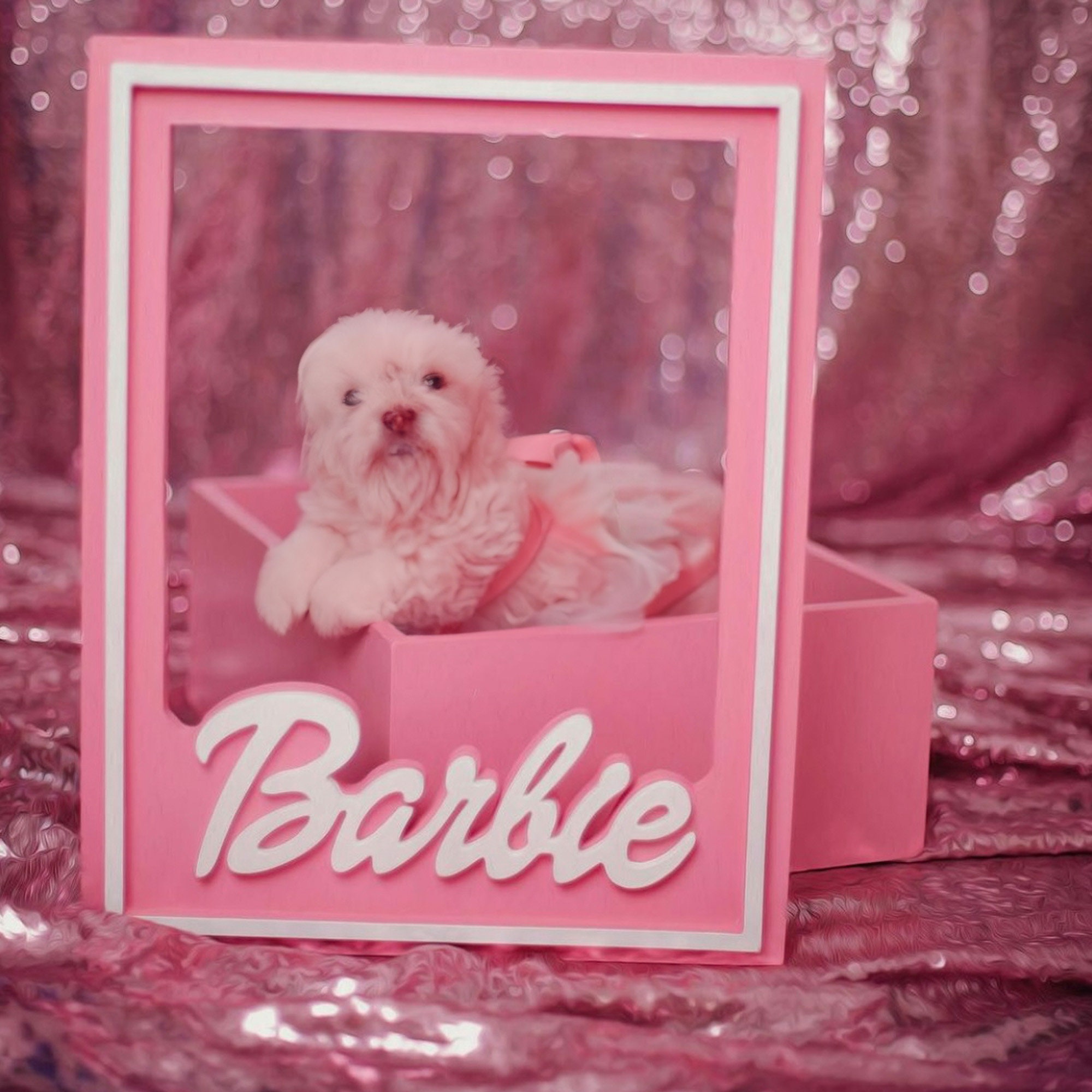 Barbie Wooden Frame Newborn Photo Props Template Editable - Etsy