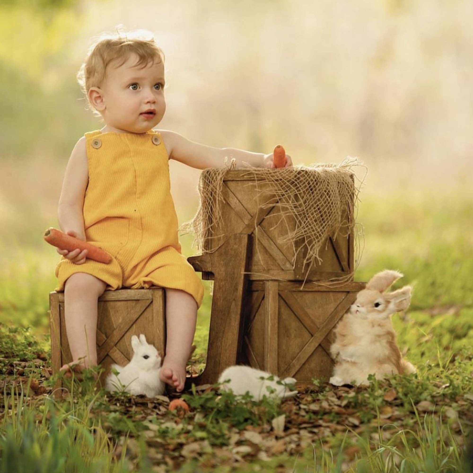 Wooden Cube for Baby Photo Shoots, Newborn Photo Shoot and Baby Room ...