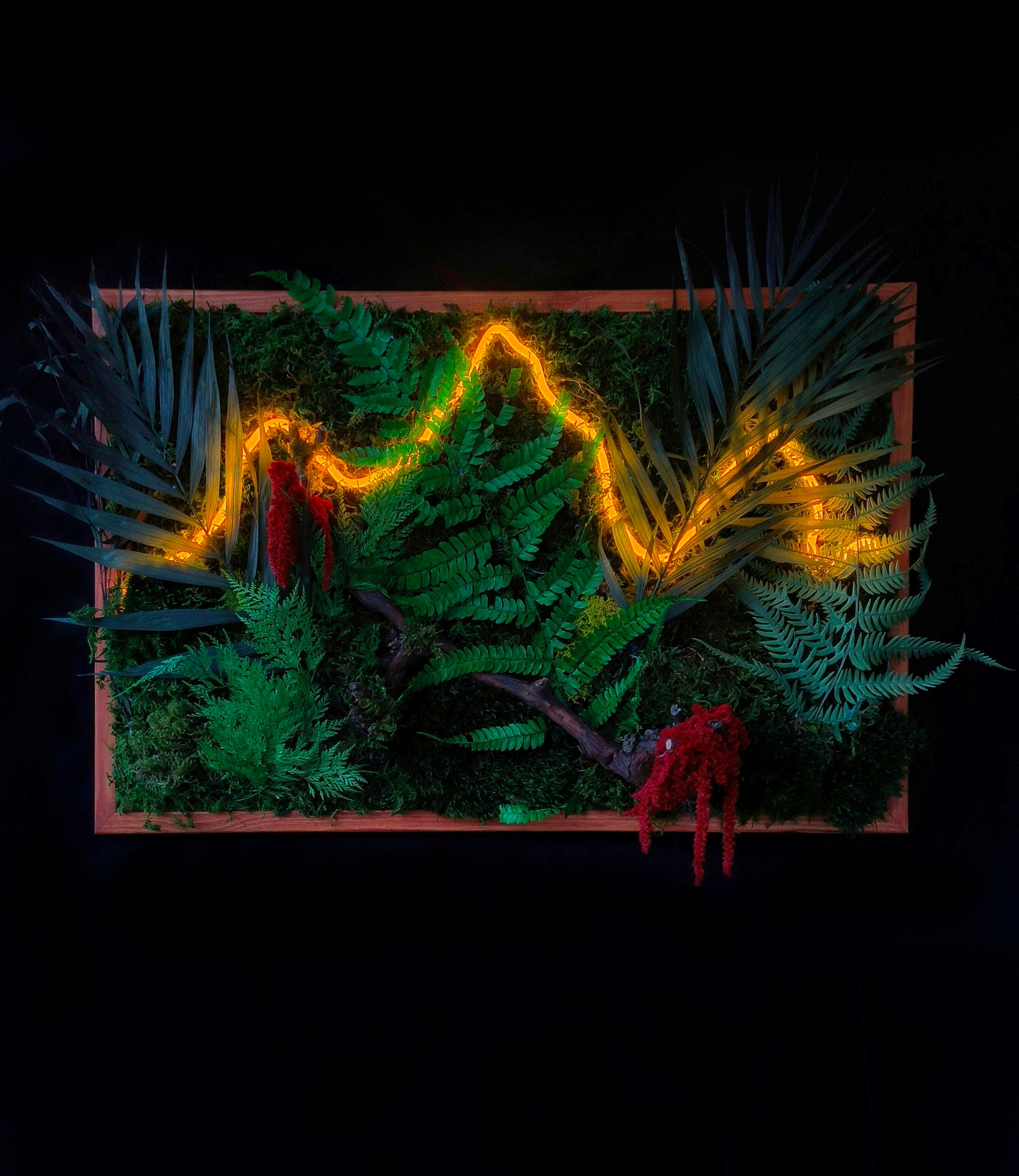 Stabilized Plant Frame With LED Art Deco, Mosswall, Mountain Led - Etsy
