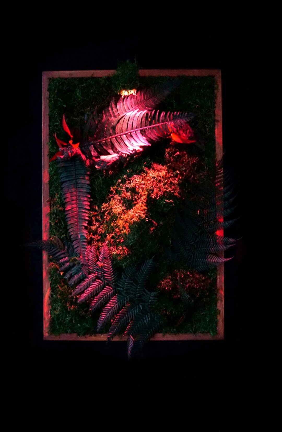 Mother Nature Plant Frame With LED Light / Stabilized, Mosswall ...