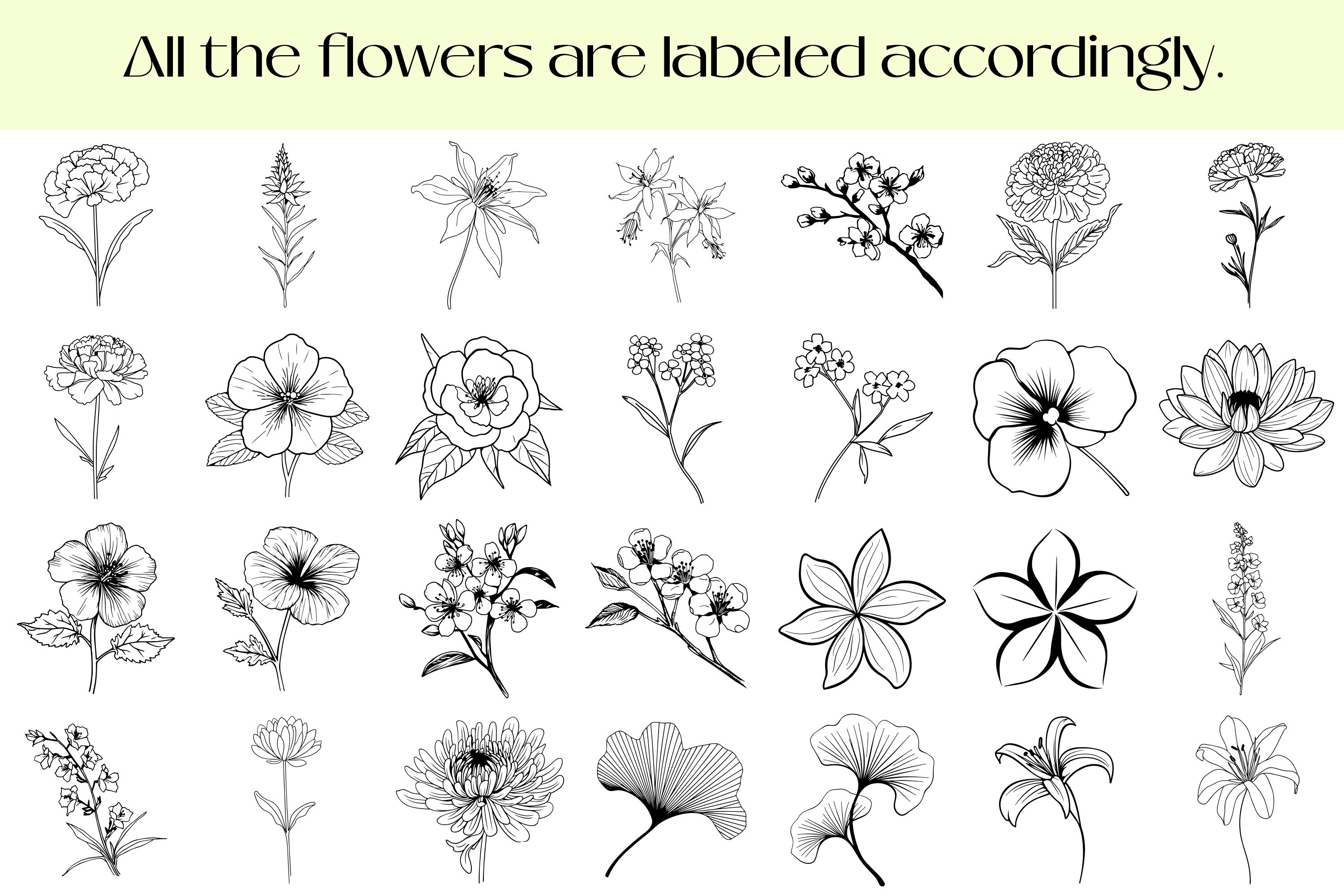 100 Flowers Bundle SVG Floral SVG Flower Clipart Leaves - Etsy