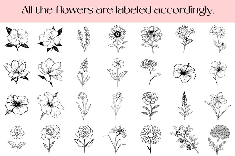 100 Flowers Bundle SVG Floral SVG Flower Clipart Leaves and Branches ...