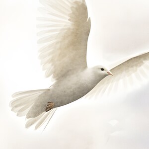 Christian Dove, Holy Spirit, Religious Art, Digital Download, Jesus ...