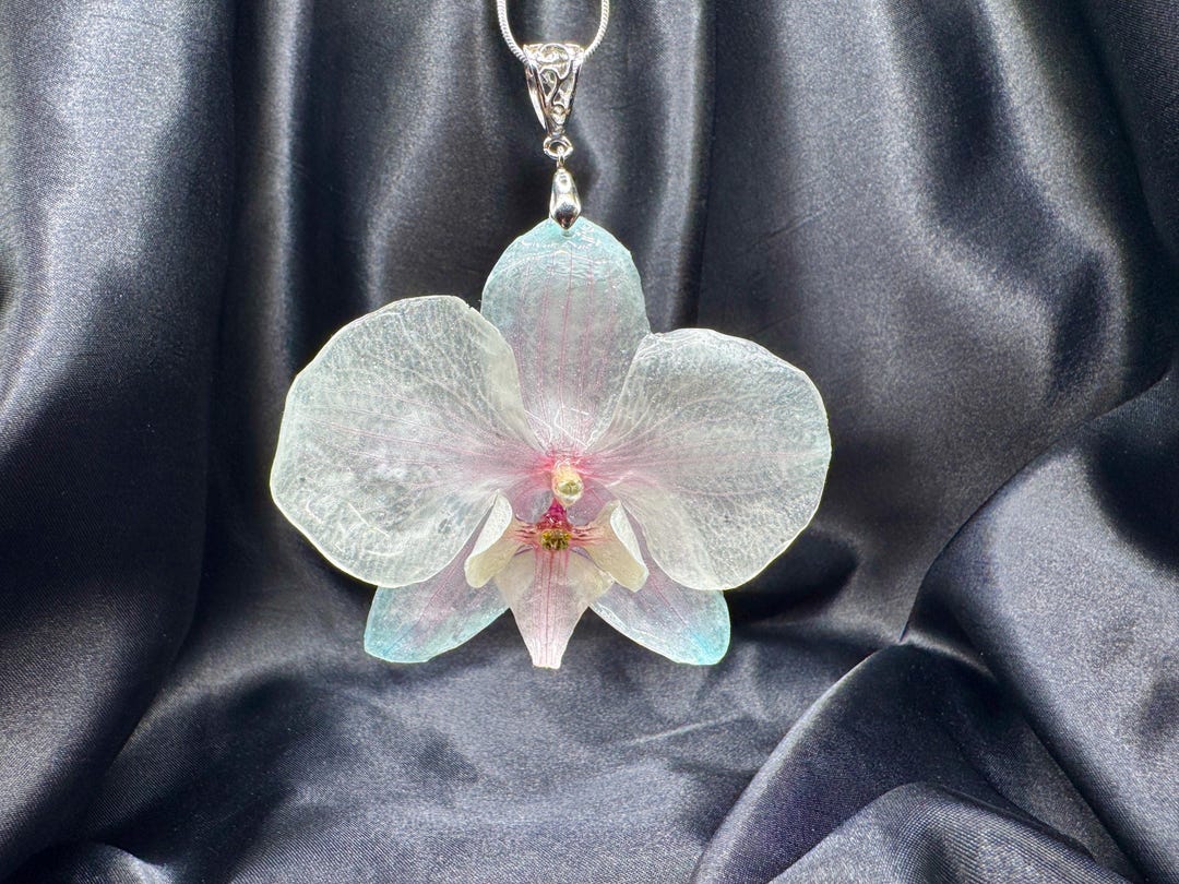 Touch of Aqua & Blush Pink REAL ORCHID Necklace, Semi-transparent ...