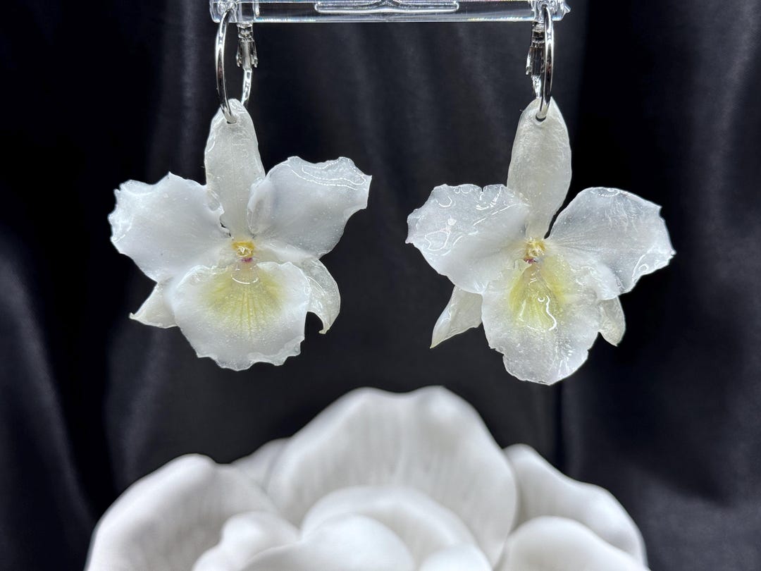Real Pearl White Orchid Earrings: Glass-like, Mini Dendrobium ...