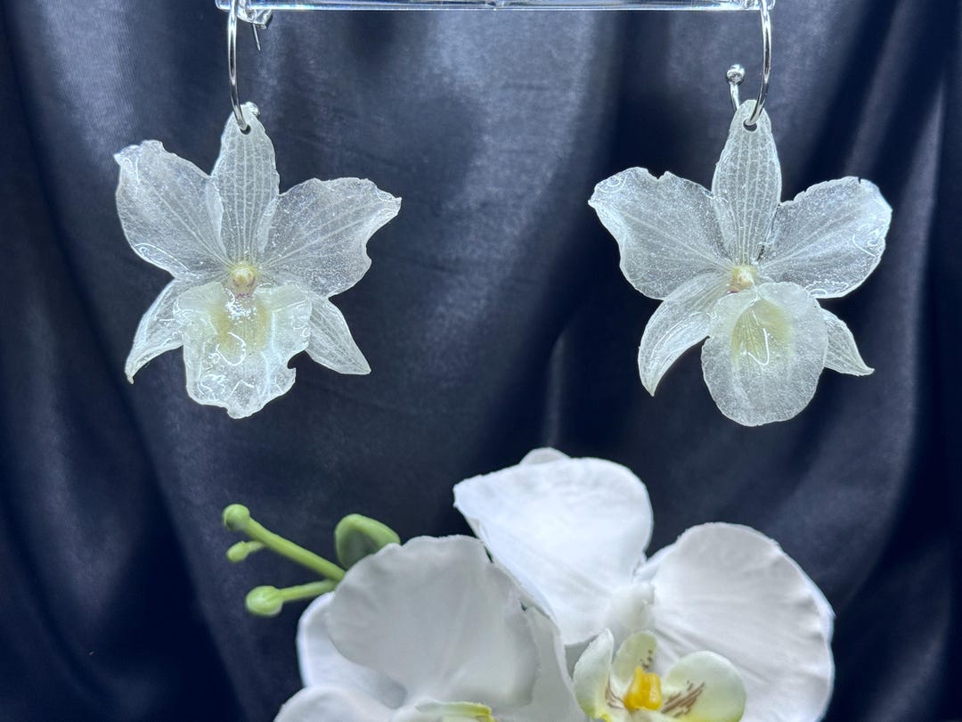 Elegant White REAL Dendrobium ORCHID Earrings, Glass-like, Delicate ...