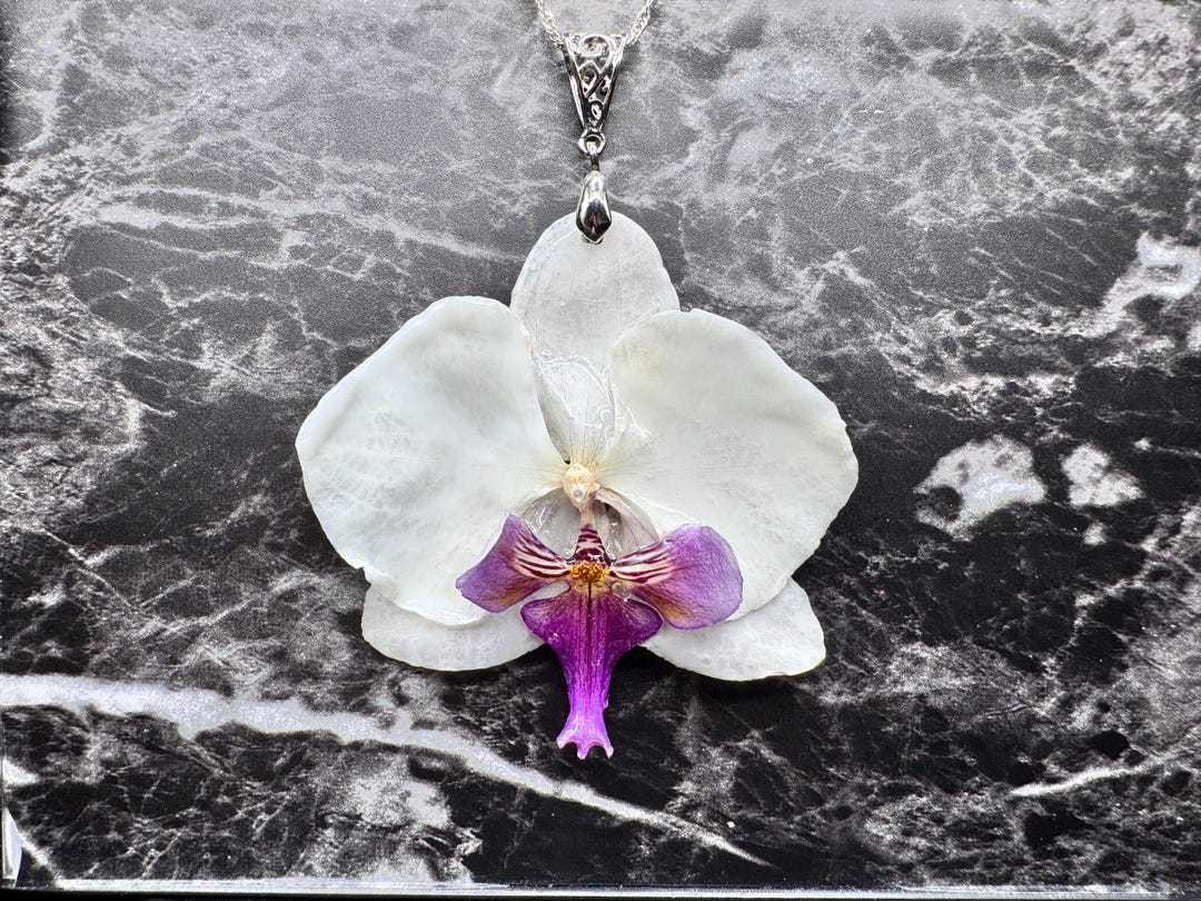 Orchid Necklace: Real Flower, White & Purple Phalaenopsis, Floral ...