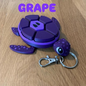 Turtle Fidget Clickers | Fruit Series Keychains and Sensory Toys | 3D ...