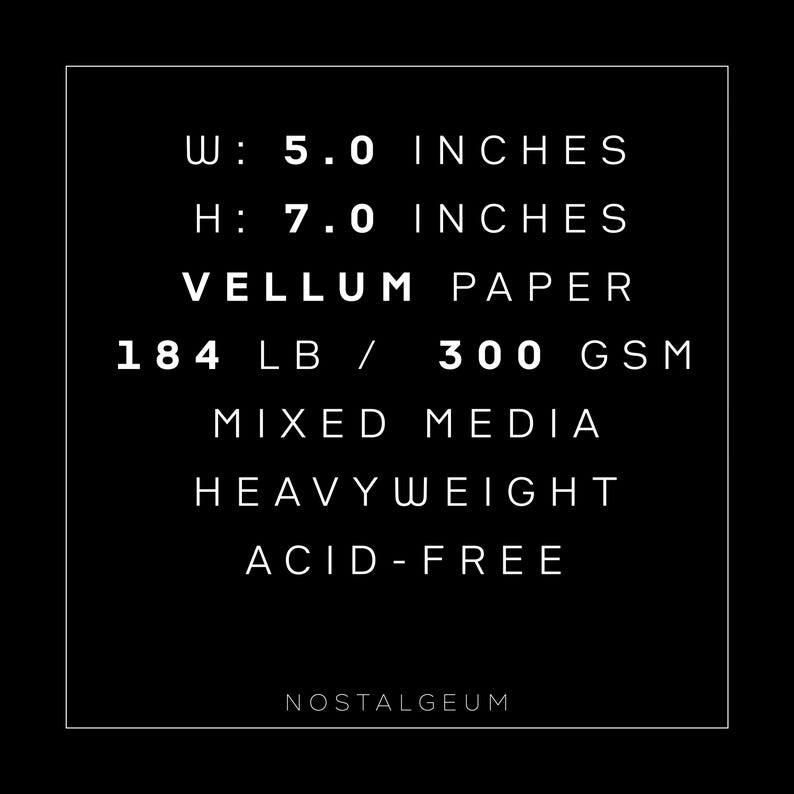 Smartest Alley Cat Coloring Page | 60s Cartoon Gang Leader Uncolored ...