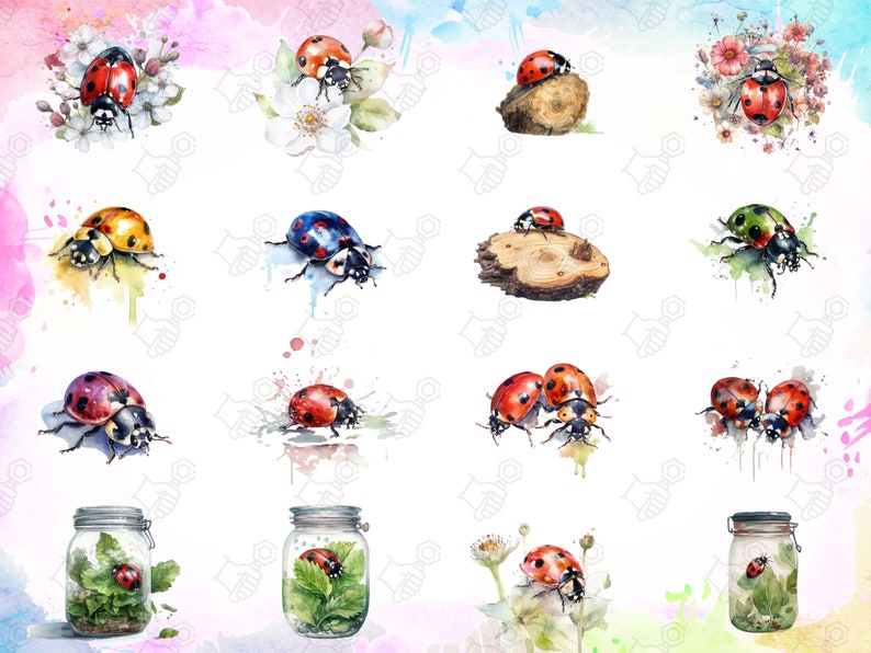 108 Watercolor Bug Clipart Mega Bundle - Etsy