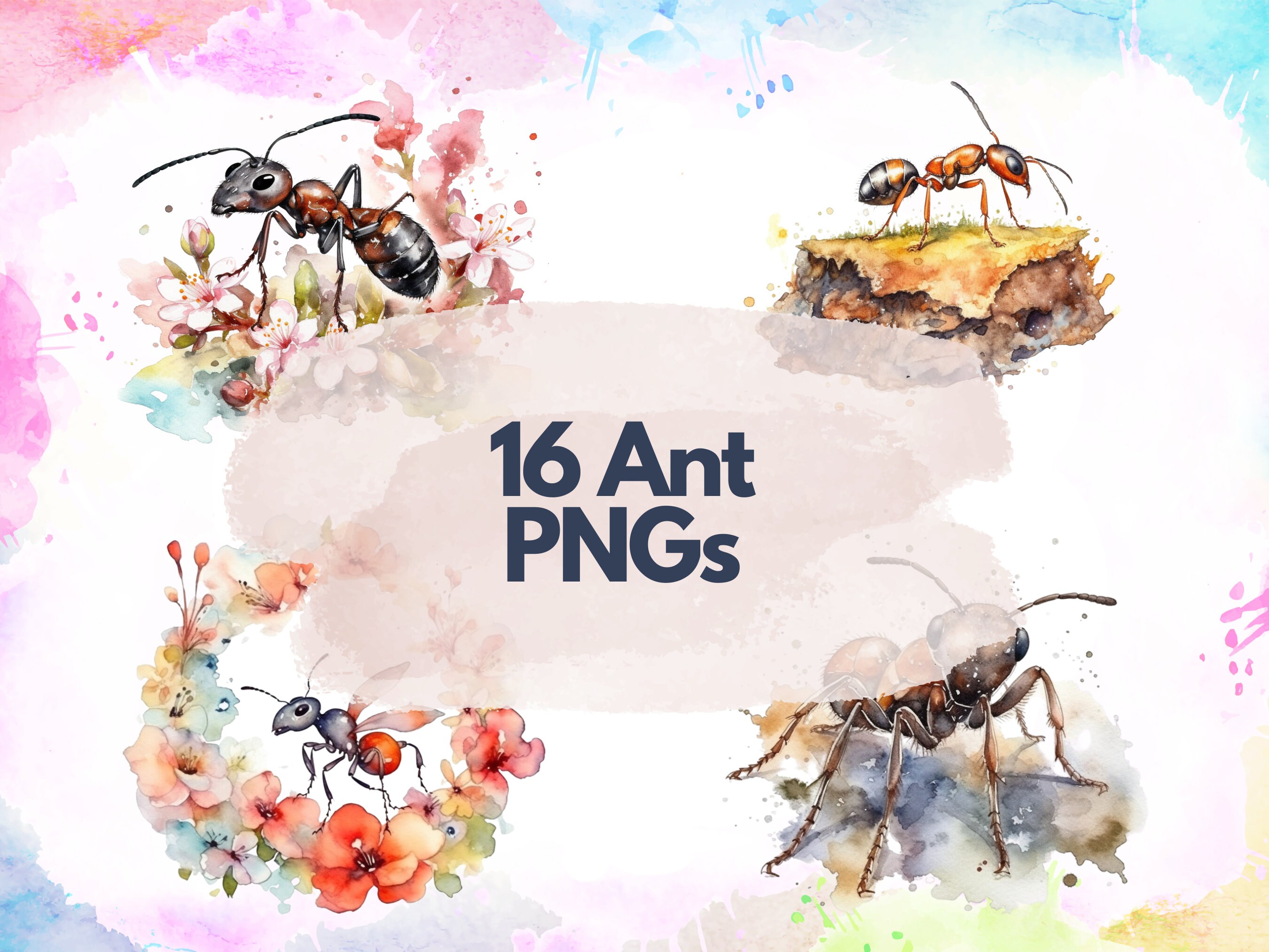 Watercolor Ant Clipart, Spring Time, PNG Instant Download for ...