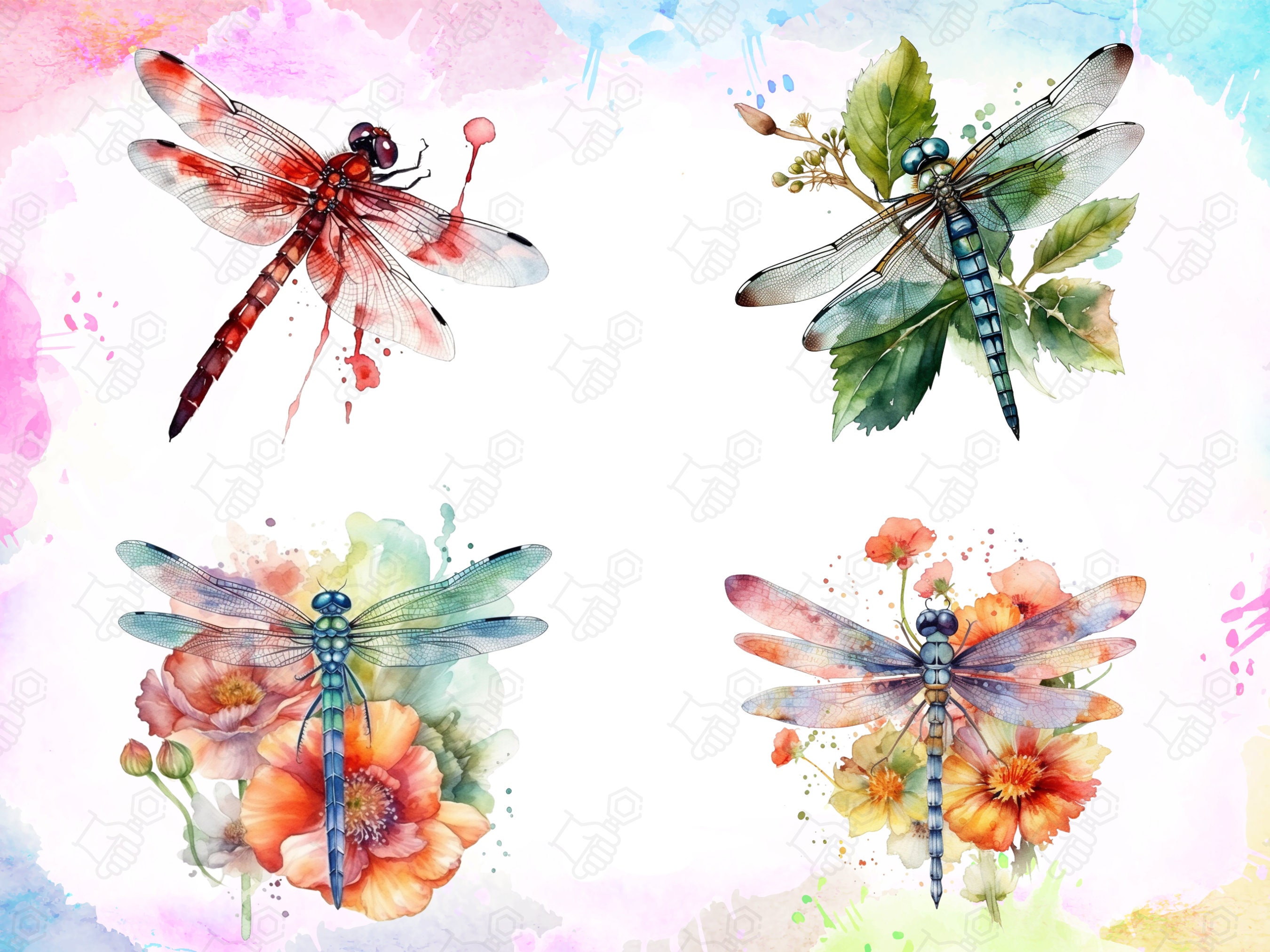 Watercolor Dragonfly Clipart, Spring Time PNG Instant Downloads for ...