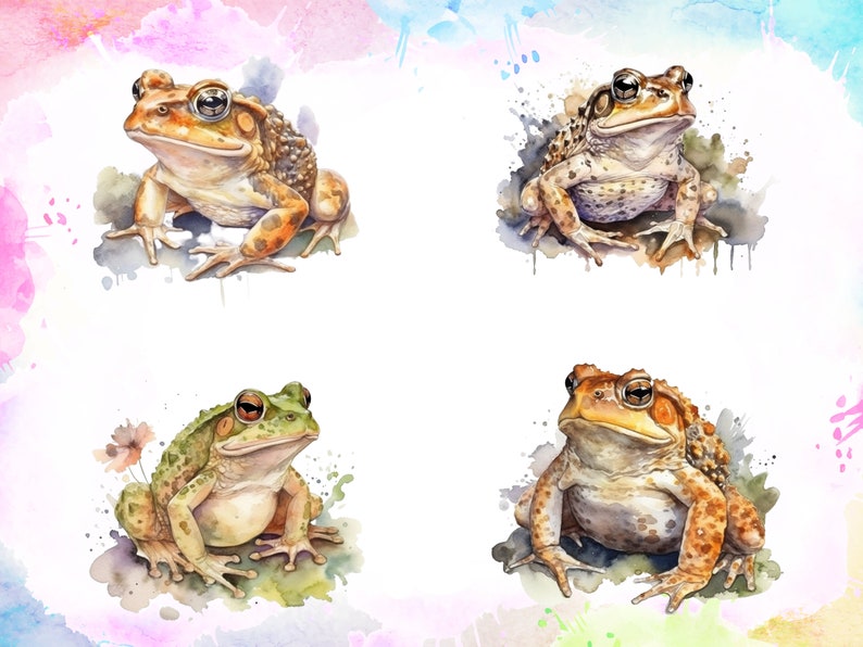 Watercolor Toad Clipart, Spring Time, PNG Instant Download for ...
