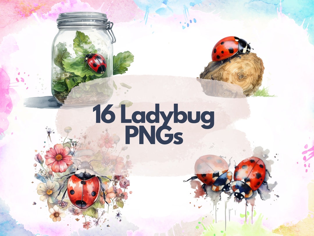 Watercolor Ladybug Clipart, Spring Time PNG Instant Downloads for ...