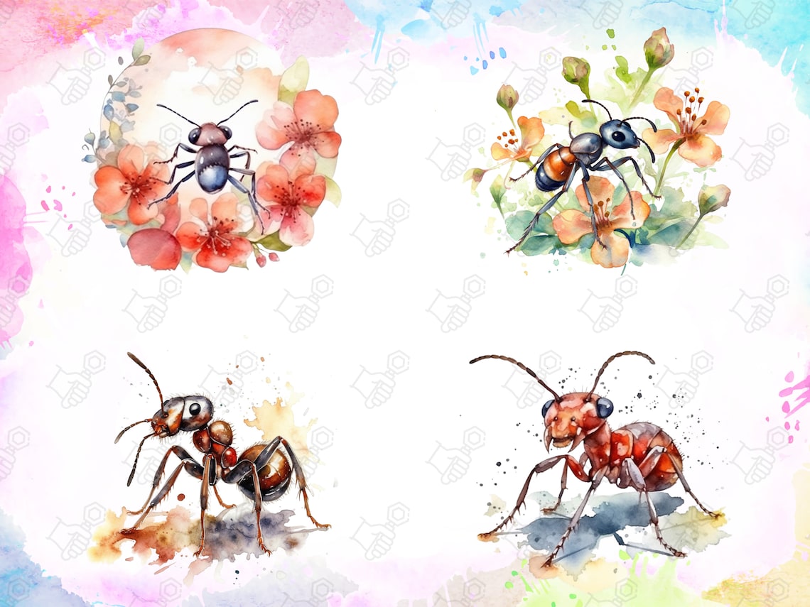 Watercolor Ant Clipart, Spring Time, PNG Instant Download for ...