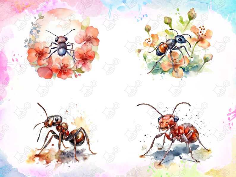 Watercolor Ant Clipart, Spring Time, PNG Instant Download for ...