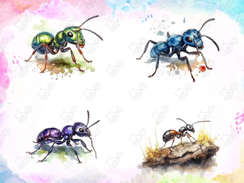 Watercolor Ant Clipart, Spring Time, PNG Instant Download for ...