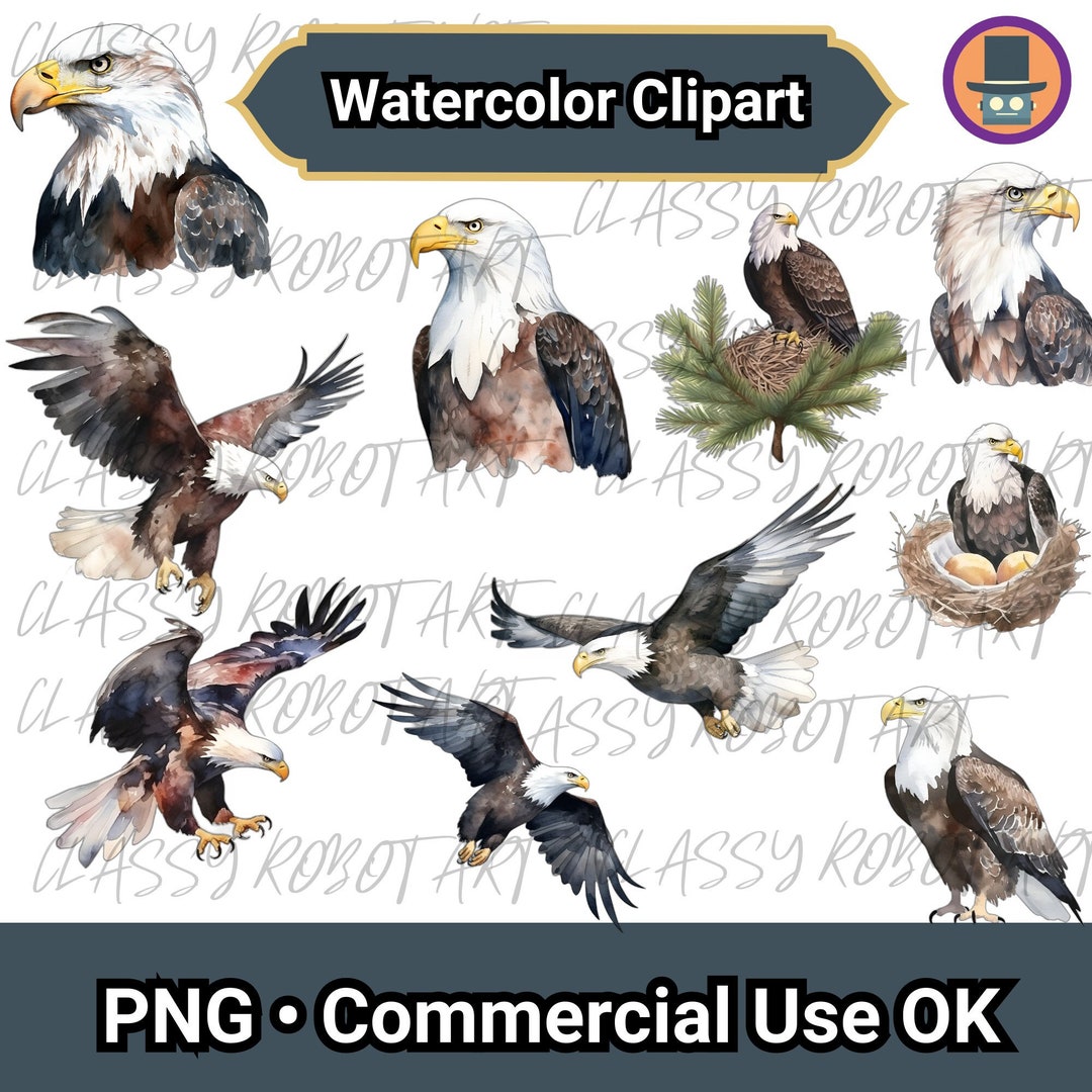 Watercolor Bald Eagle Clipart - Bald Eagle PNG, Bald Eagle Commercial ...