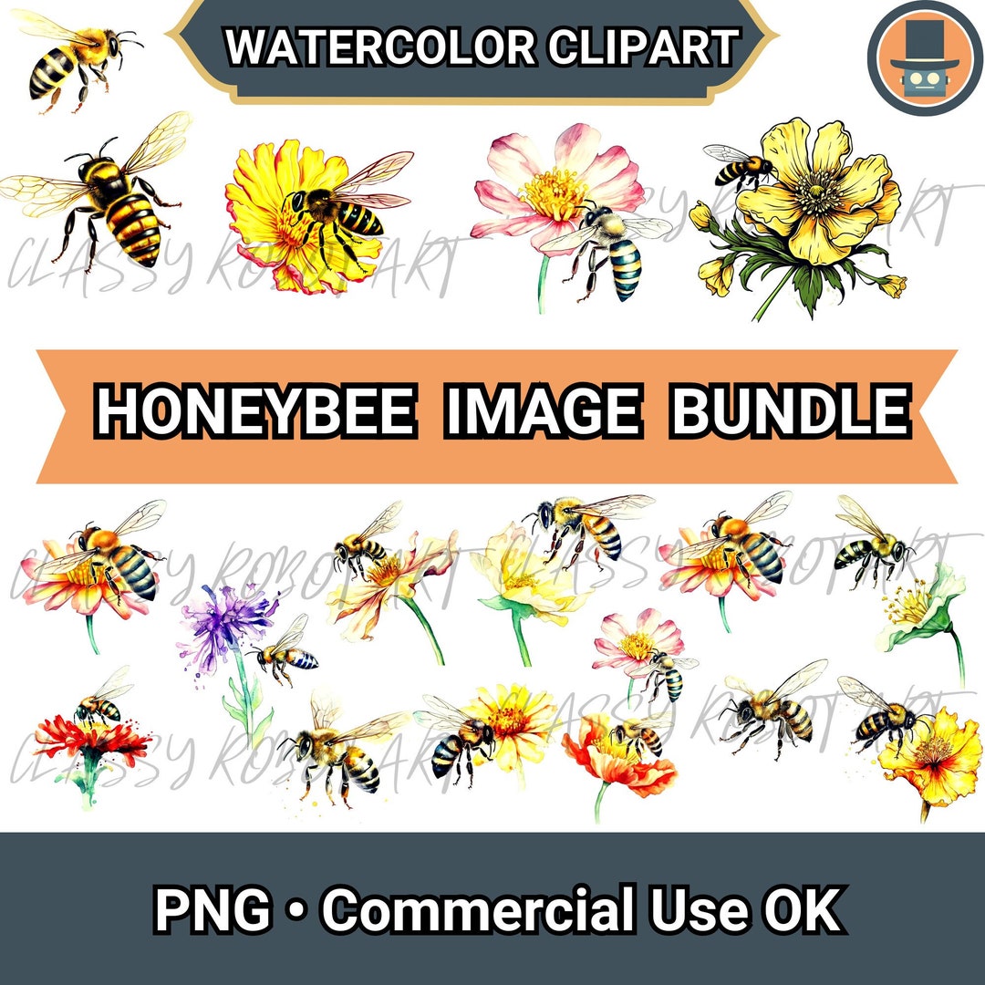 Watercolor Honeybee Clipart - Honeybee PNG, Honeybee Graphic Commercial ...