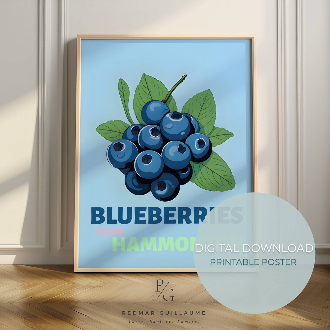 Blueberries Poster - Fruit From Hammonton, USA - Blue American Kitchen ...