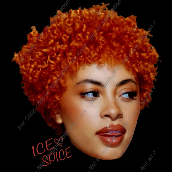Ice Spice Shirt - Etsy