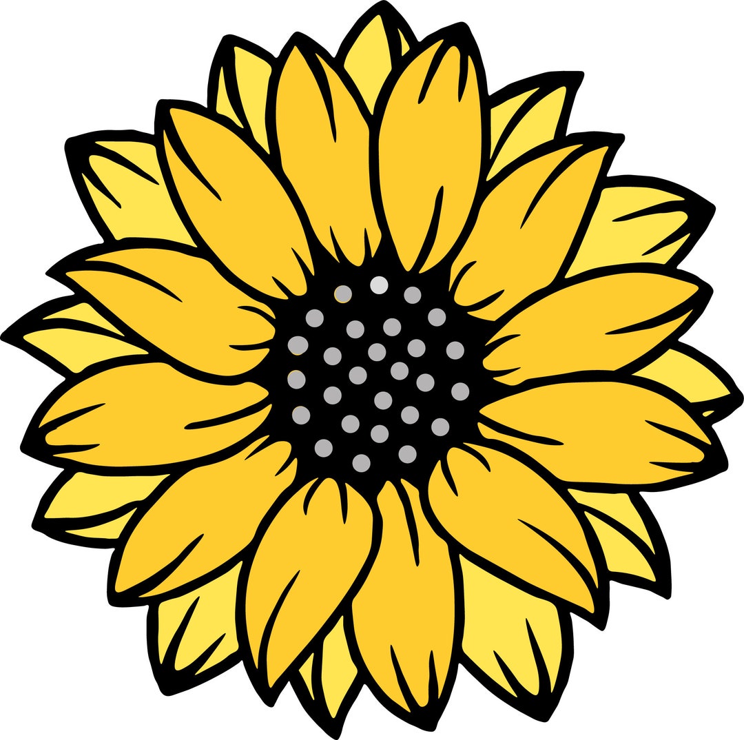 Sunflower SVG Flower Svg Digital Download Clipart - Etsy