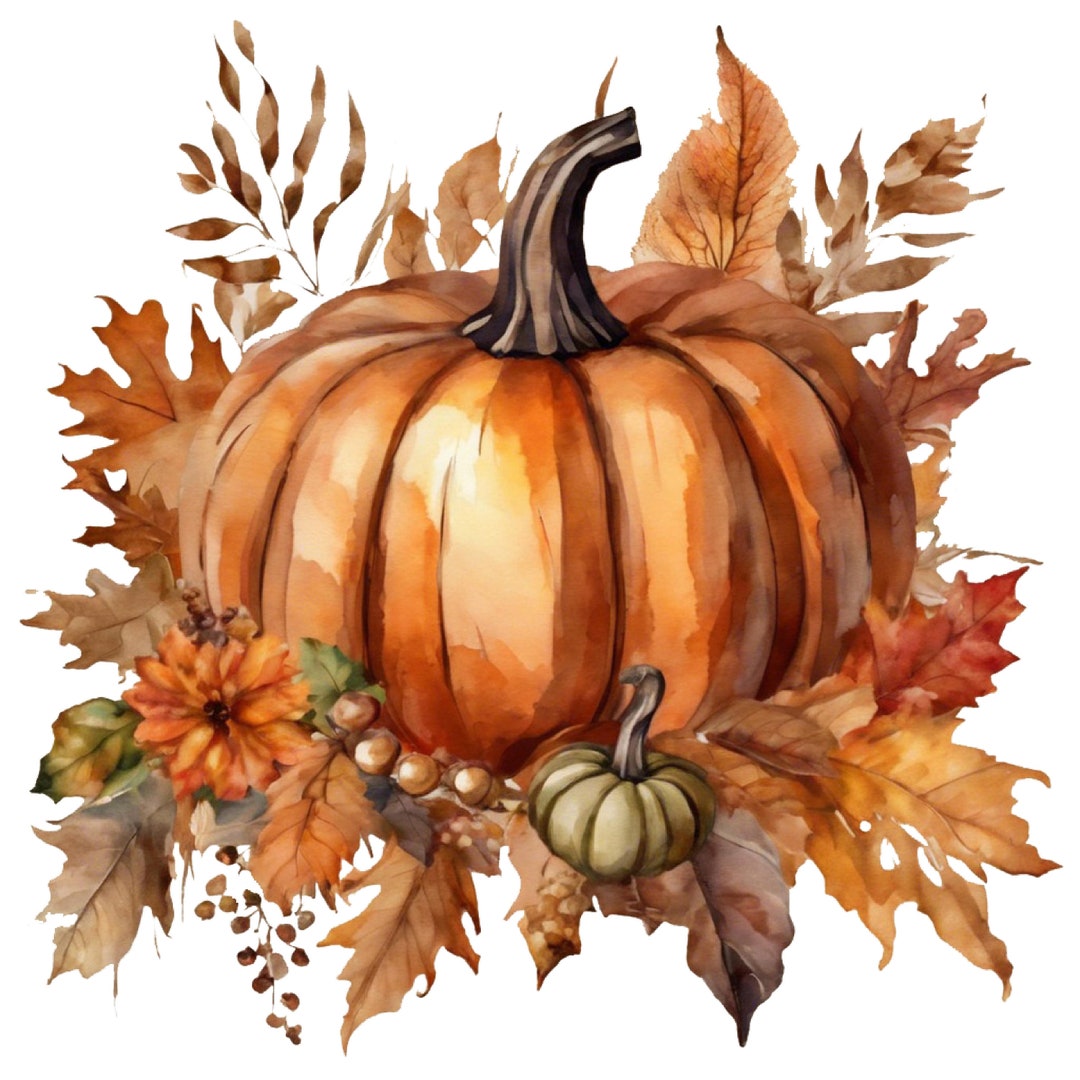 Fall Pumpkins Clipart, Fall Pumpkin PNG, Pumpkins Clipart, Pumpkin PNG ...