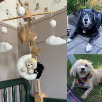 Dog Mobile - Etsy