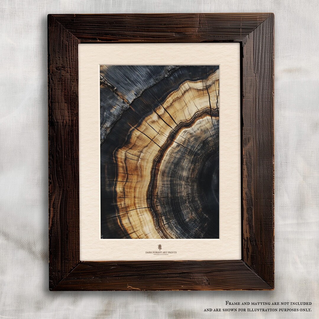 Cottagecore Tree Ring Ancient Tree Art Print for Muted Decor - Etsy