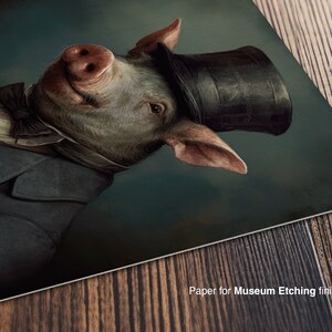 Victorian Pig Print - Etsy