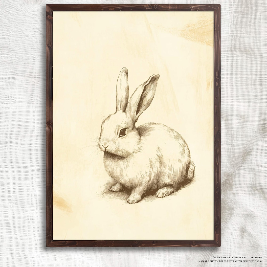 Drawing of Vintage Bunny Rabbit Art Print for Vintage Decor - Etsy