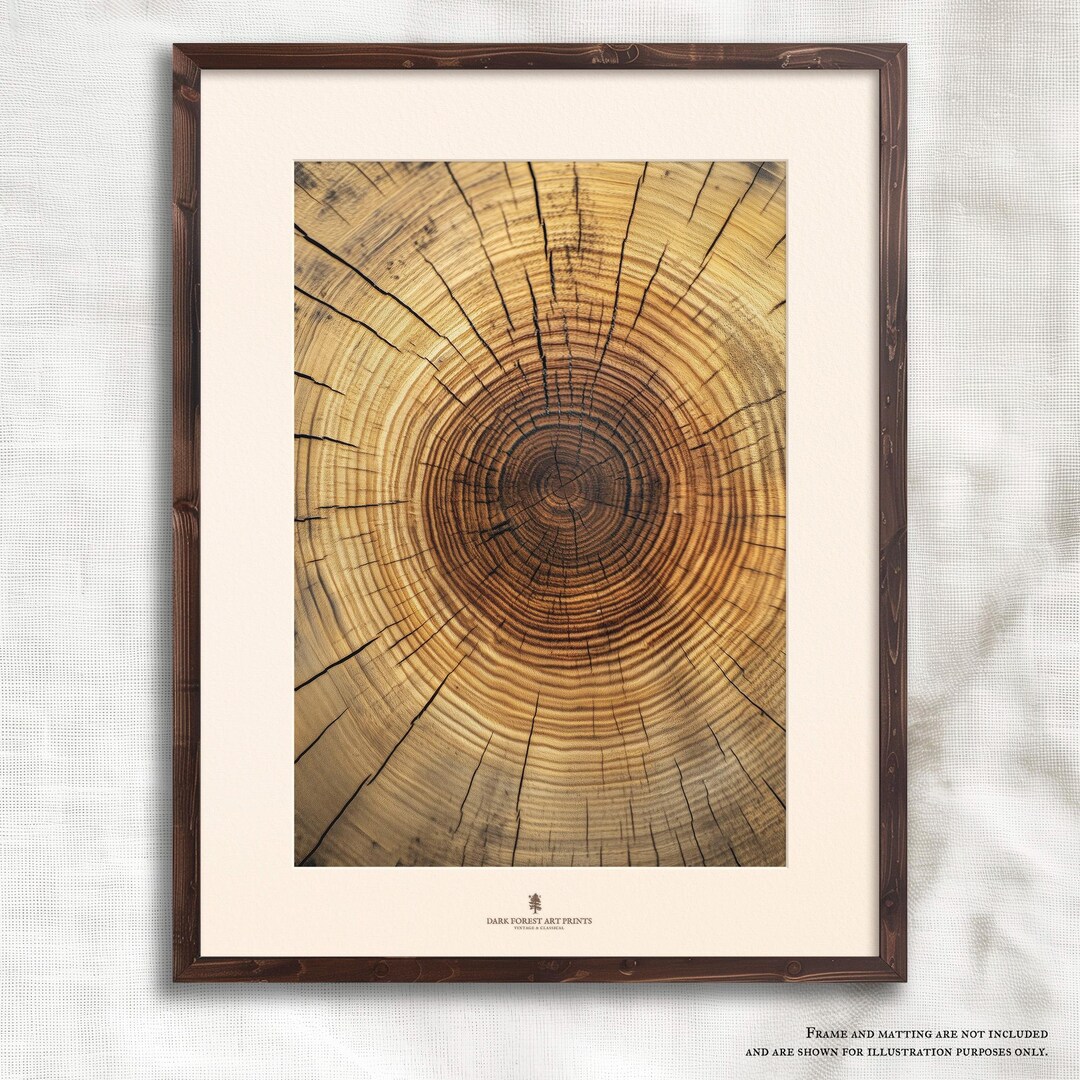 Cottagecore Tree Ring Ancient Tree Art Print for Muted Decor - Etsy