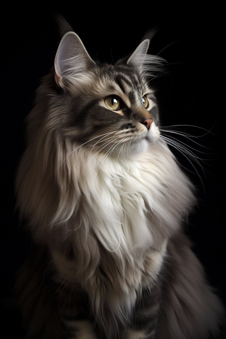 Majestic Regal Cat - Etsy