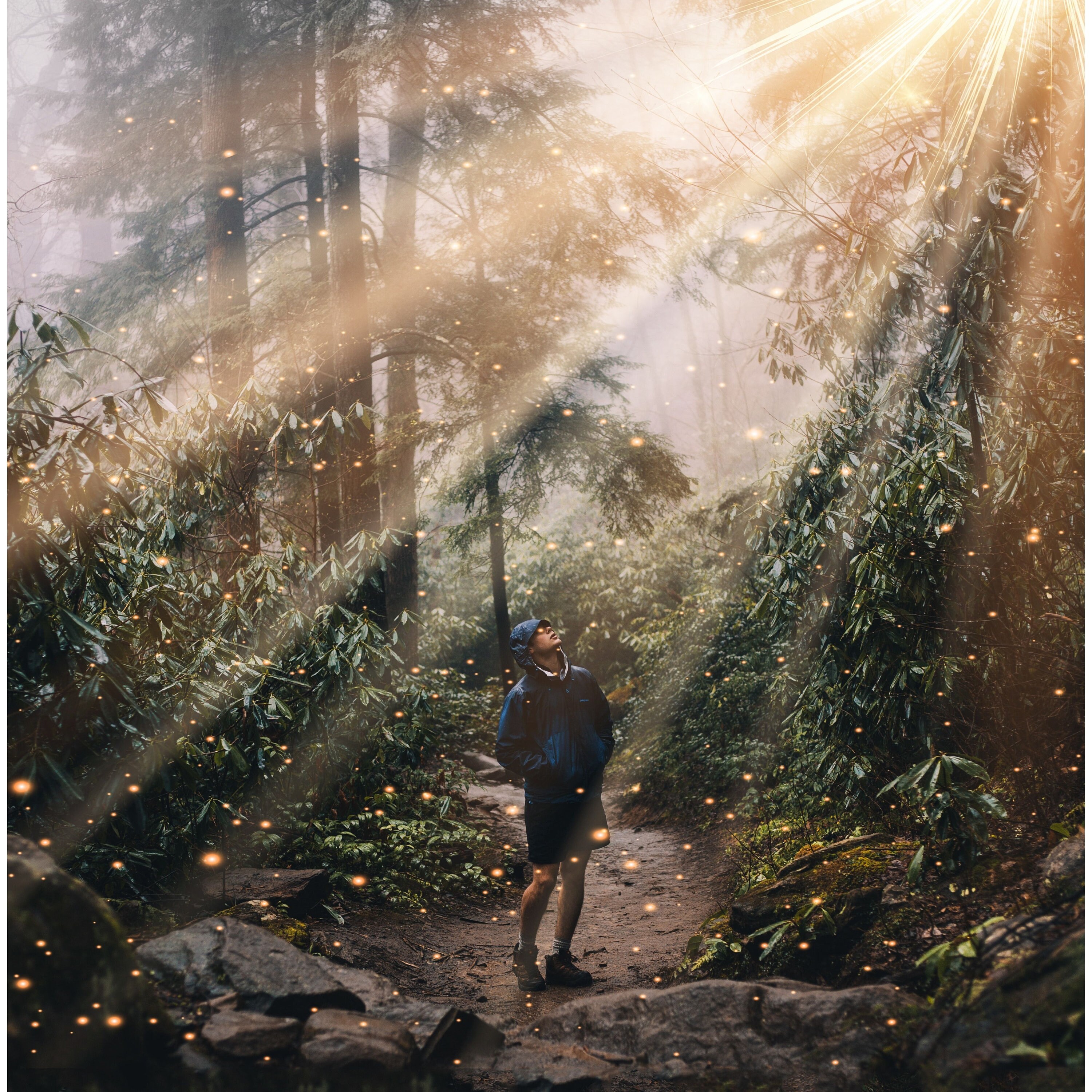 Realistic Sunlight Overlays, 140 Photoshop Sun Overlays,sun Flare ...