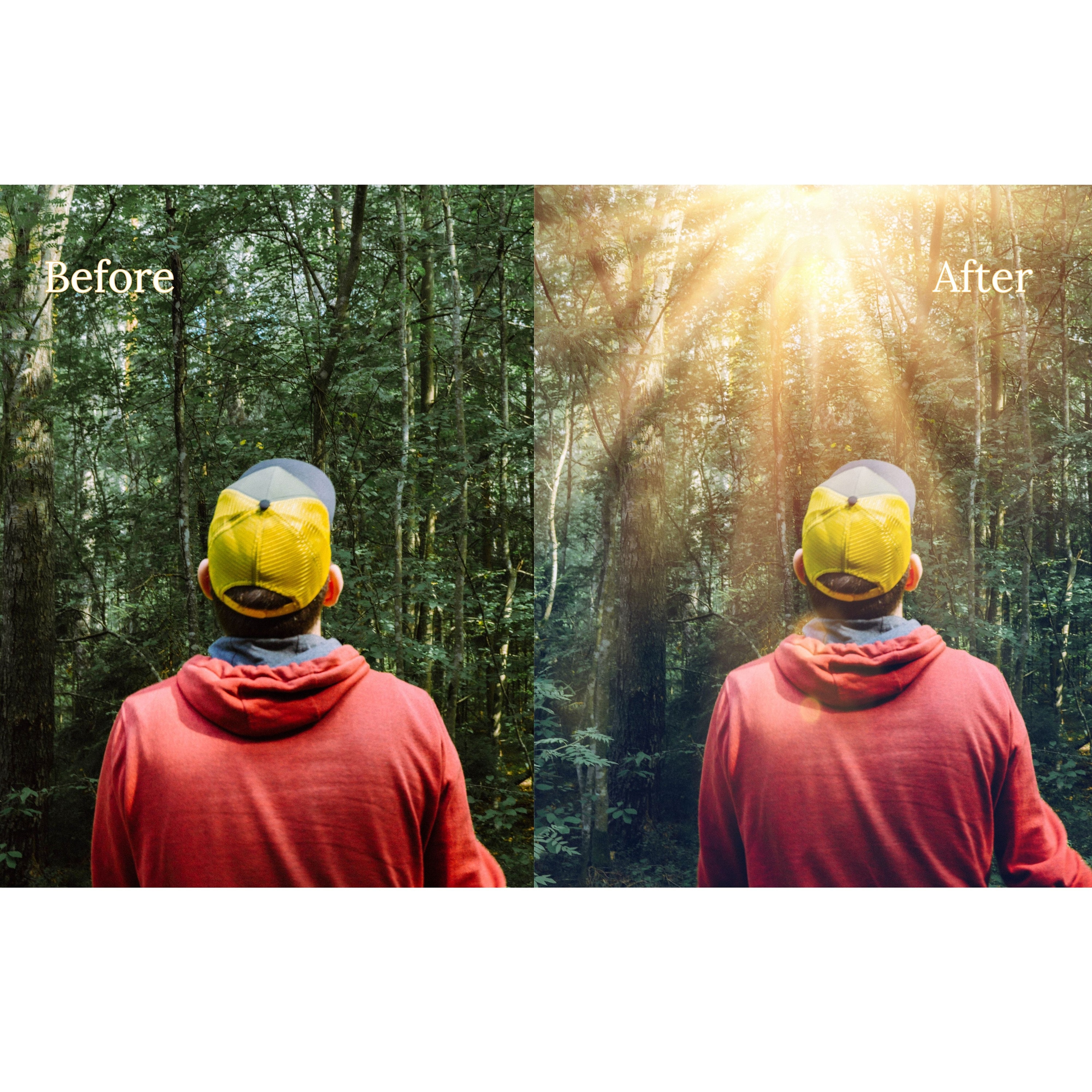 Realistic Sunlight Overlays, 140 Photoshop Sun Overlays,sun Flare ...