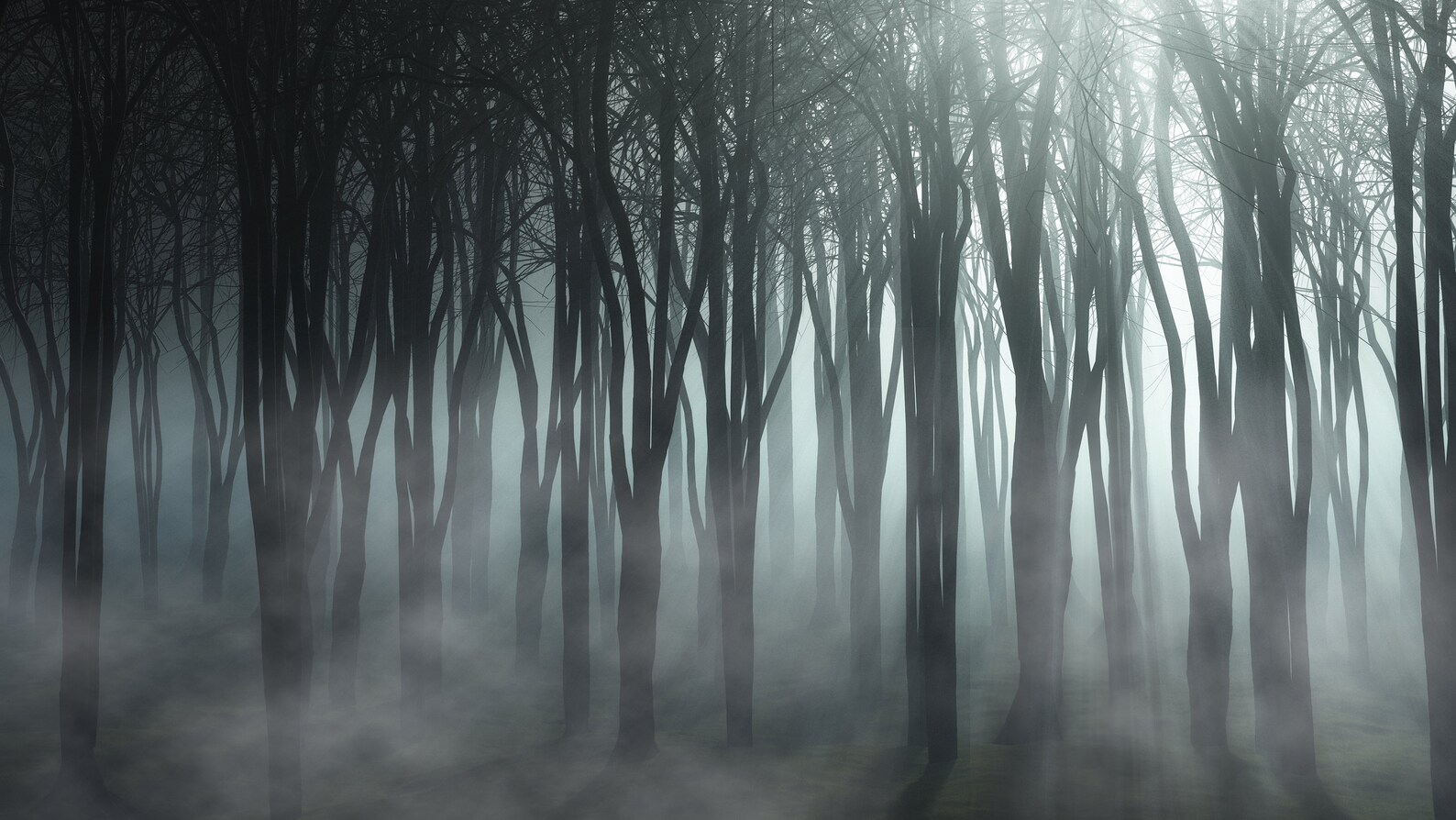 300 Fog Overlays,halloween Fog Overlays,mist Overlays,landscape ...